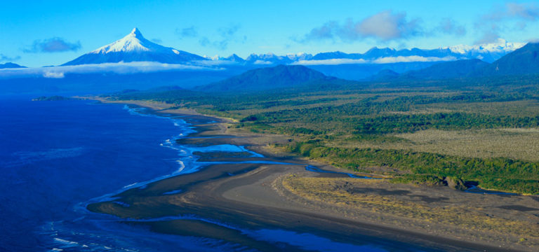 Protected Areas: the Past, Present, and Future of Conservation | Earth.Org