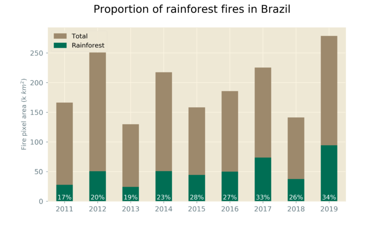 What Satellite Imagery Tells Us About Amazon Wildfires | Earth.Org