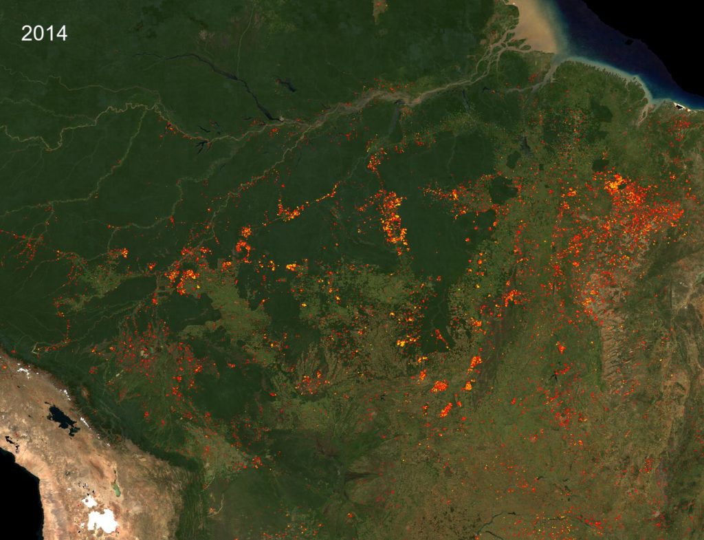 What Satellite Imagery Tells Us About Amazon Wildfires | Earth.Org