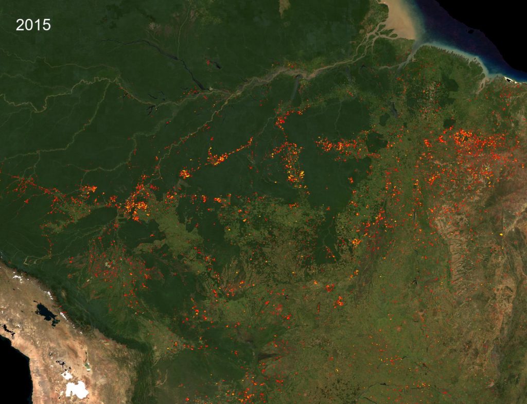 What Satellite Imagery Tells Us About Amazon Wildfires | Earth.Org