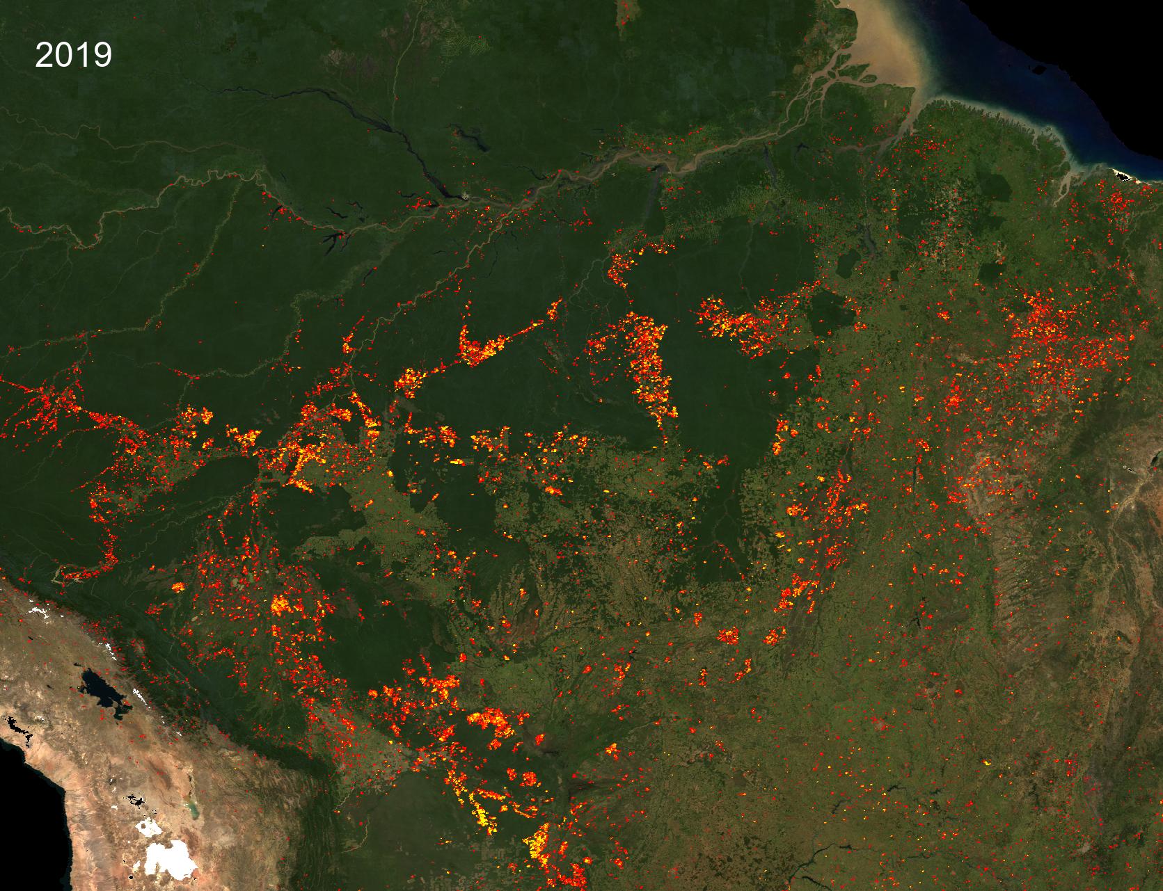 What Satellite Imagery Tells Us About Amazon Wildfires | Earth.Org