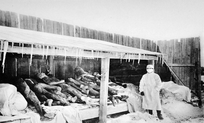 How the Climate Crisis is Linked to Disease | Earth.Org - Past ...