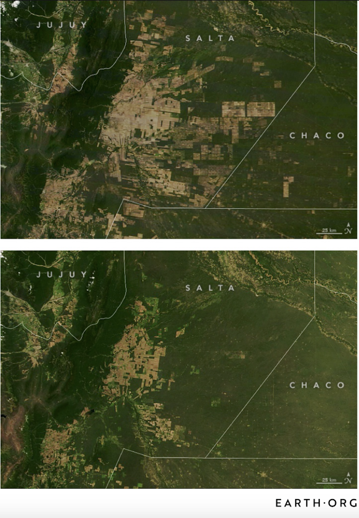 Deforestation in the Gran Chaco | Earth.Org