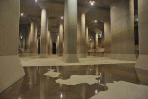 Sea Level Rise Projection Map - Tokyo | Earth.Org