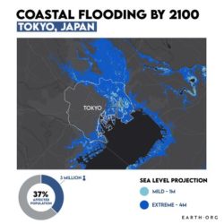 Sea Level Rise Projection Map - Tokyo | Earth.Org
