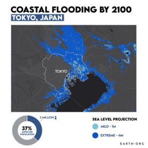 Sea Level Rise Projection Map - Tokyo | Earth.Org