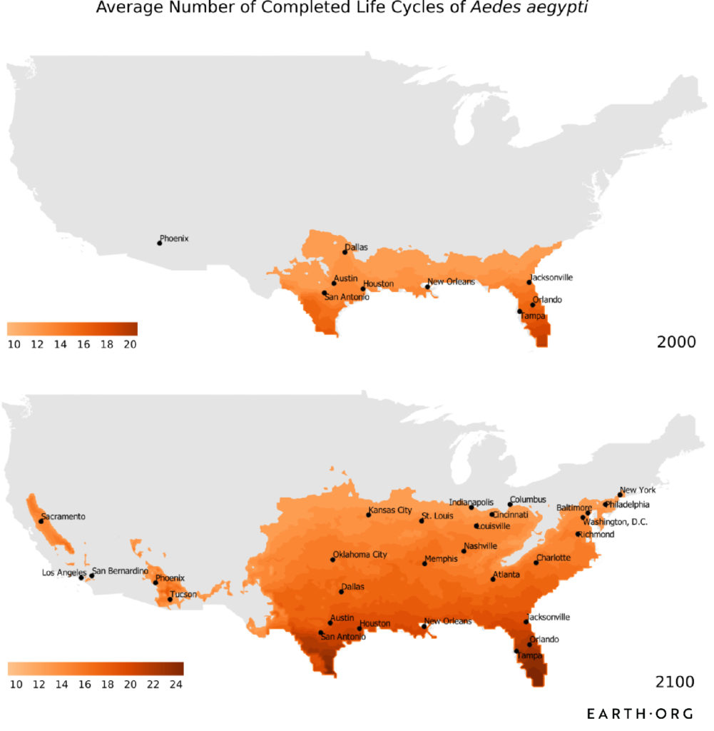 Mosquitoes and Climate Change: USA | Earth.Org