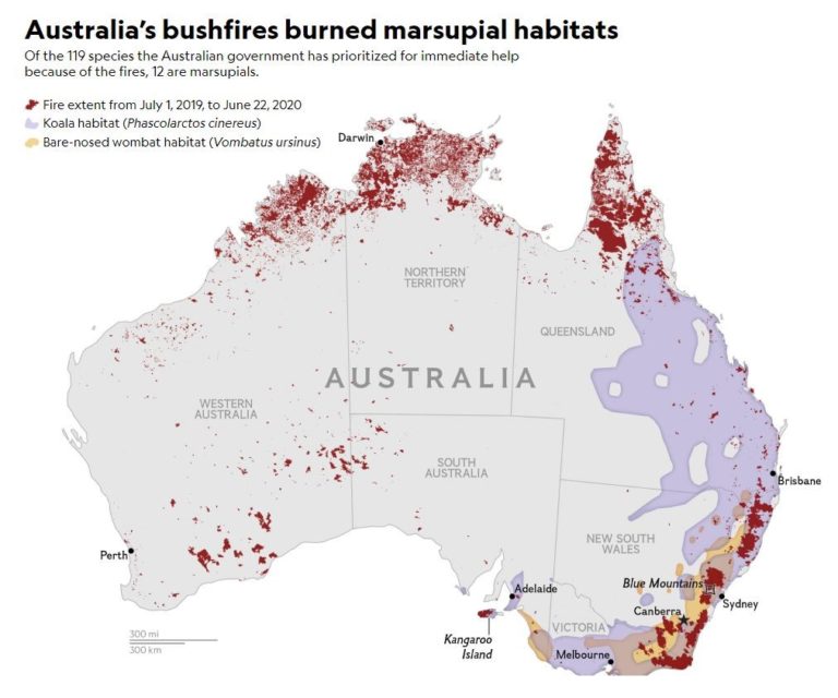 Climate Change and the Australian Bushfires: A Visual Guide | Earth.Org