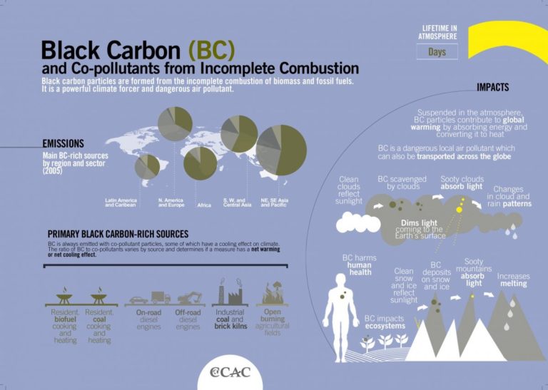 Climate Change and the Australian Bushfires: A Visual Guide | Earth.Org