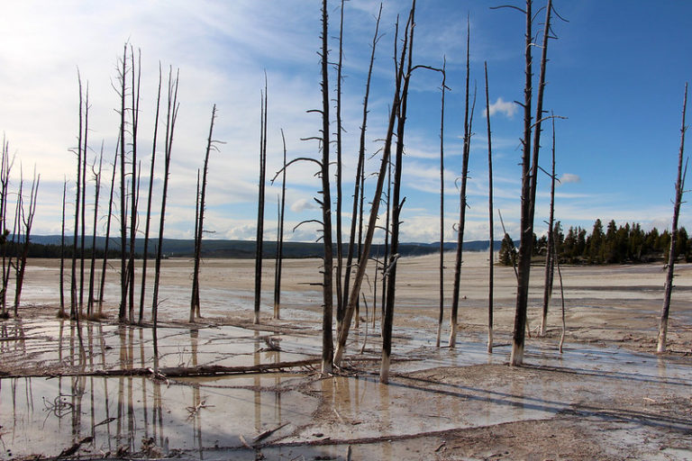 Explainer: What Is a Dead Zone? | Earth.Org