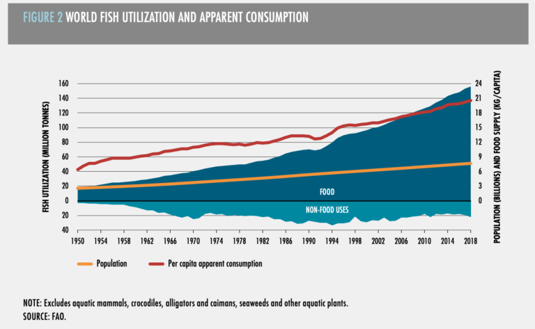 What Is Overfishing? A Brief Review | Earth.Org