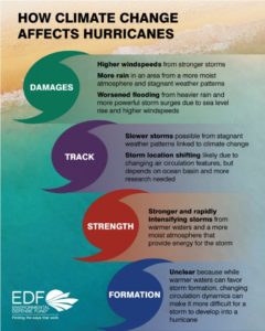 How is Climate Change Affecting Hurricanes? | Earth.Org