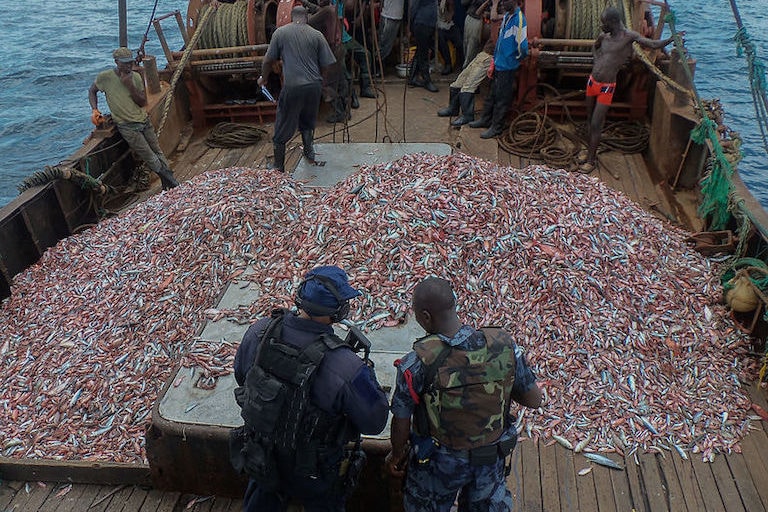 New Paper Highlights Spread of Organised Crime From Global Fisheries ...
