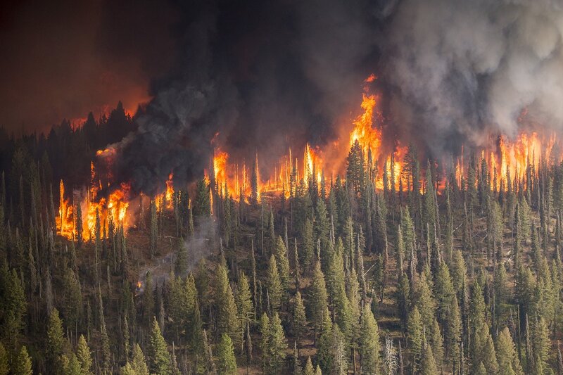 What Arctic Wildfires Mean For The Fight Against Climate Change | Earth.Org