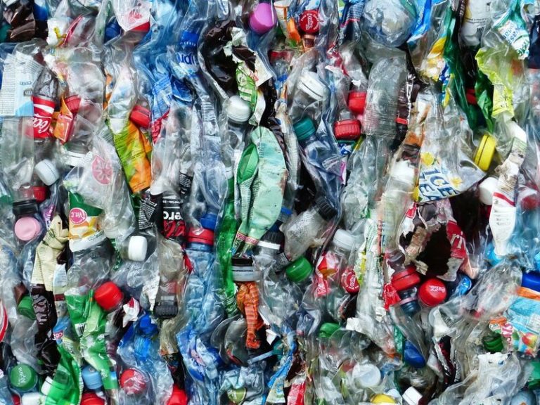 What Goes Around Comes Around: The Plastic Cycle | Earth.Org