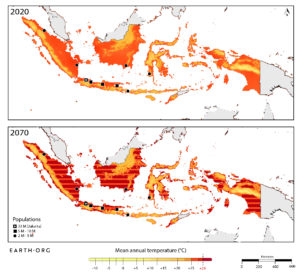 Too Hot to Live: Climate Change in Indonesia | Earth.Org