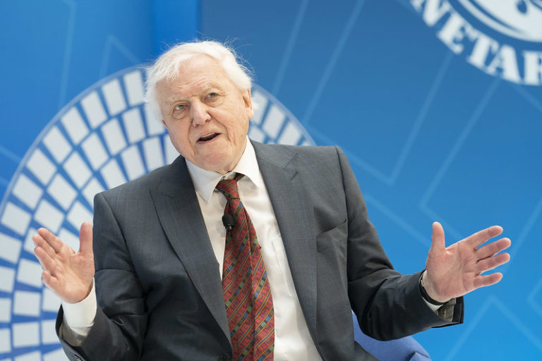 15 David Attenborough Quotes on Nature and Climate Change