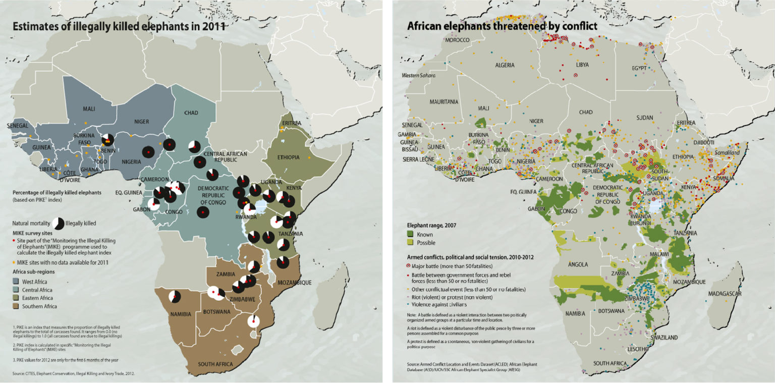Illegal Elephant Poaching in Africa | Earth.Org