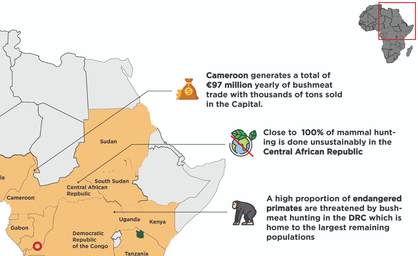 Mapping the African Bushmeat Crisis | Earth.Org