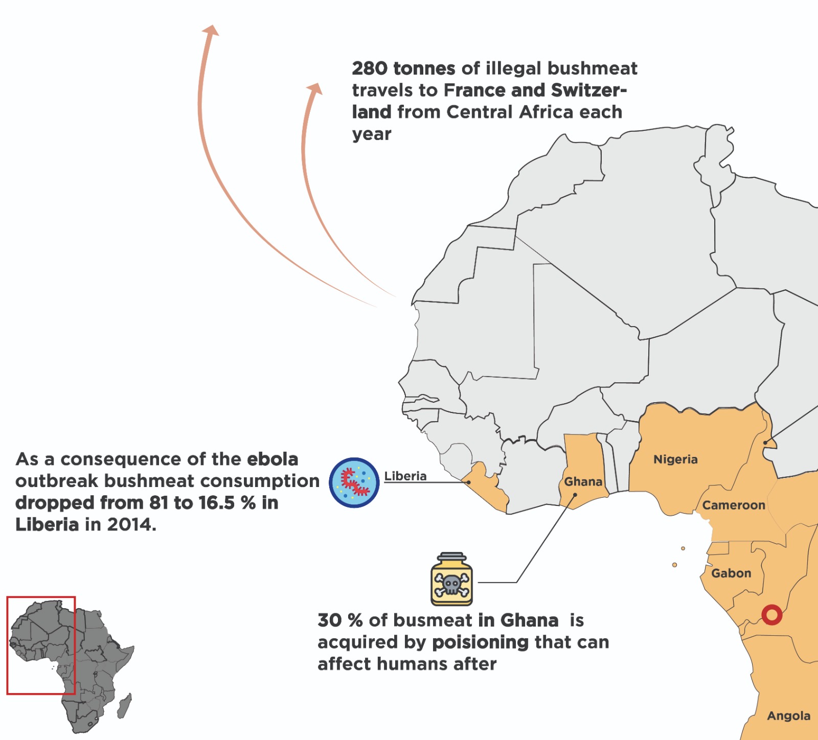 Mapping the African Bushmeat Crisis | Earth.Org