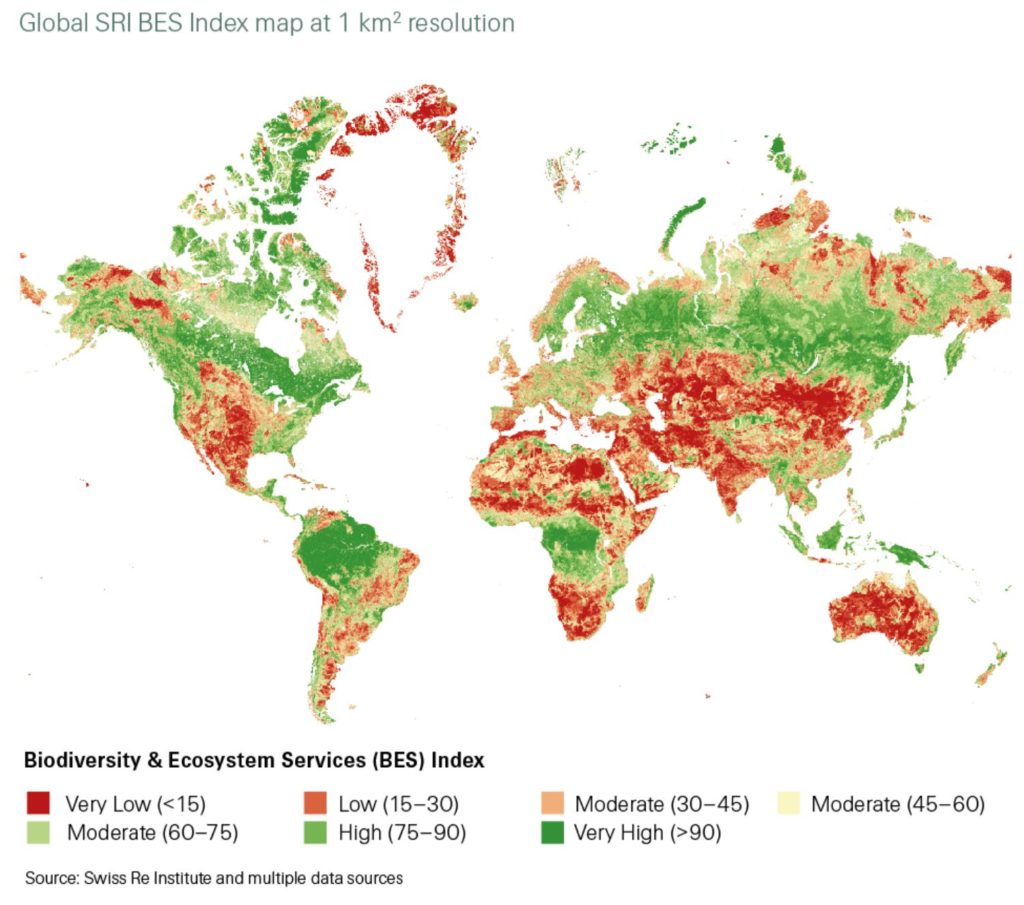 The Living Planet Report 2020: The State of Affairs | Earth.Org