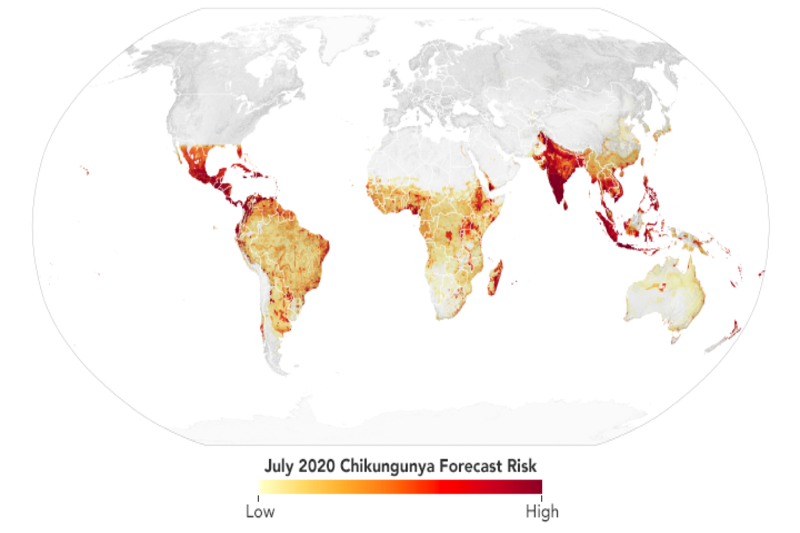 Predicting Disease Outbreaks With Satellite Data | Earth.Org