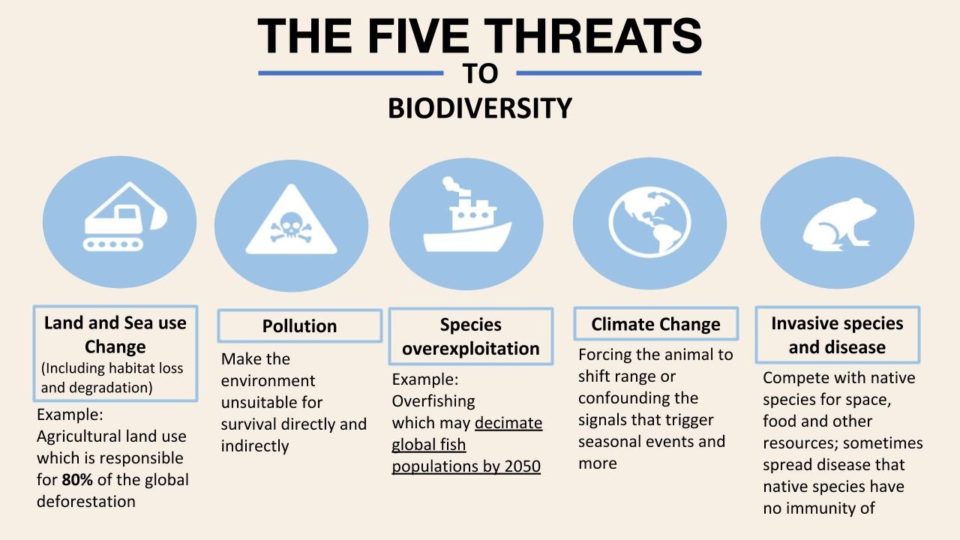 The Statistics of Biodiversity Loss [2020 WWF Report] | Earth.Org