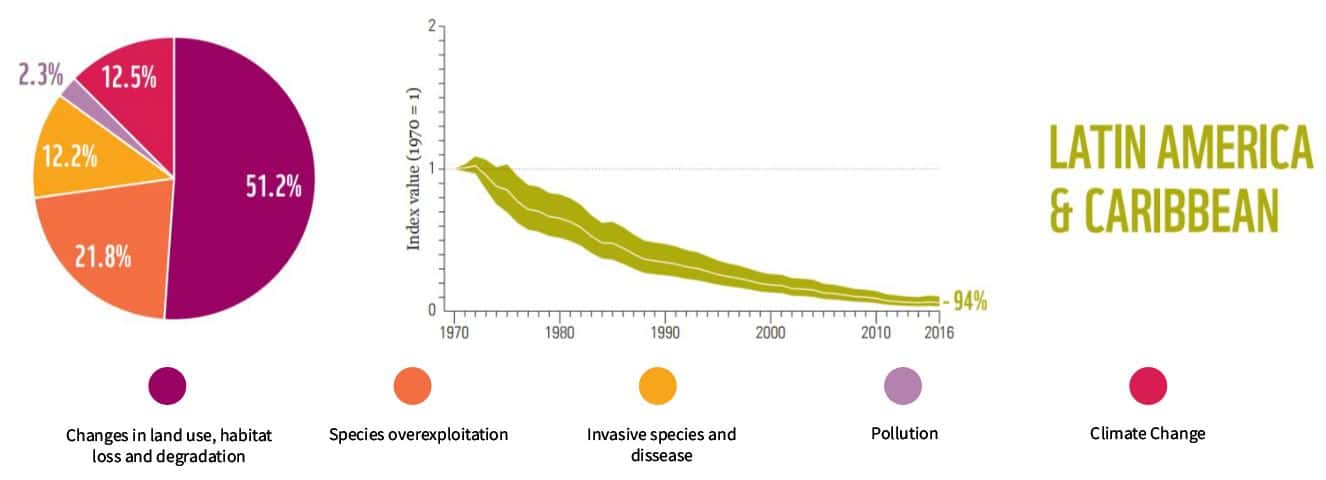 The Statistics of Biodiversity Loss [2020 WWF Report] | Earth.Org