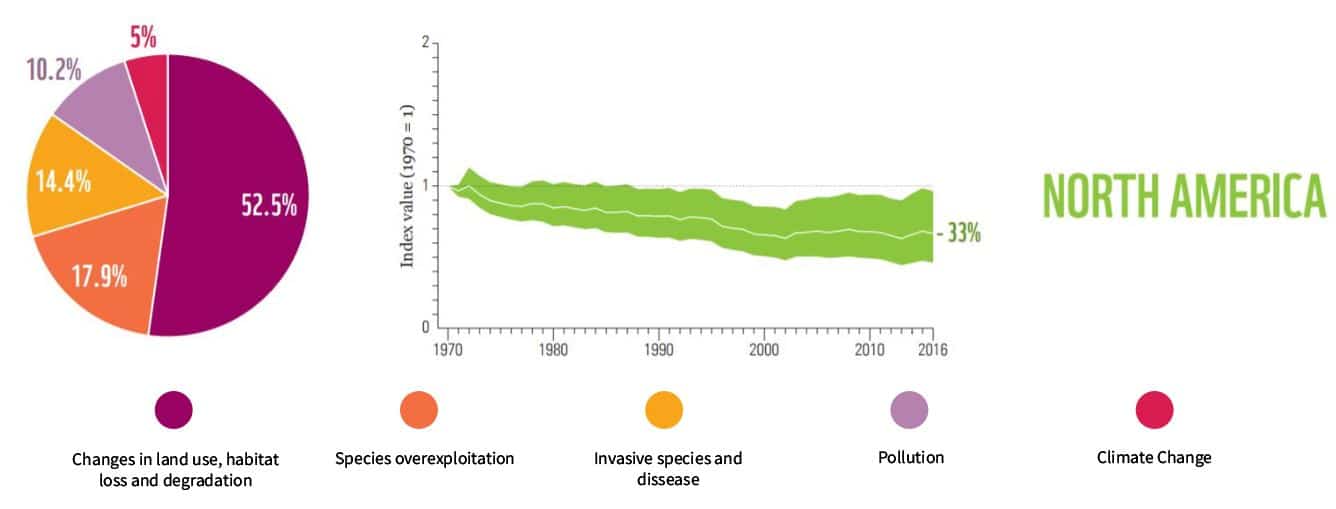 The Statistics of Biodiversity Loss [2020 WWF Report] | Earth.Org