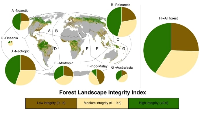 Only 40% of World’s Forests Have High Ecological Integrity, A New Index ...