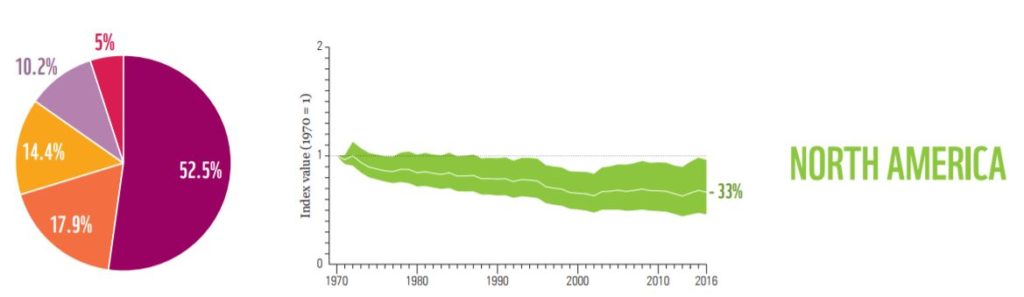 Biodiversity Loss in Numbers, the 2020 WWF Report | Earth.Org - Past ...
