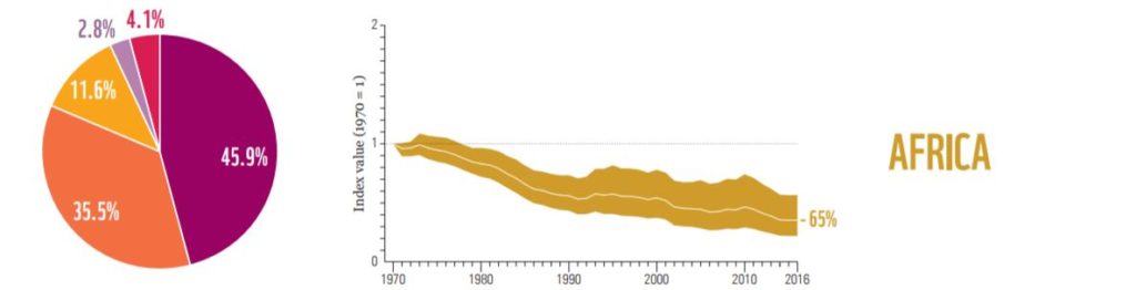 Biodiversity Loss in Numbers, the 2020 WWF Report | Earth.Org - Past ...