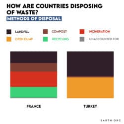 Waste Management: France and Turkey | Earth.Org