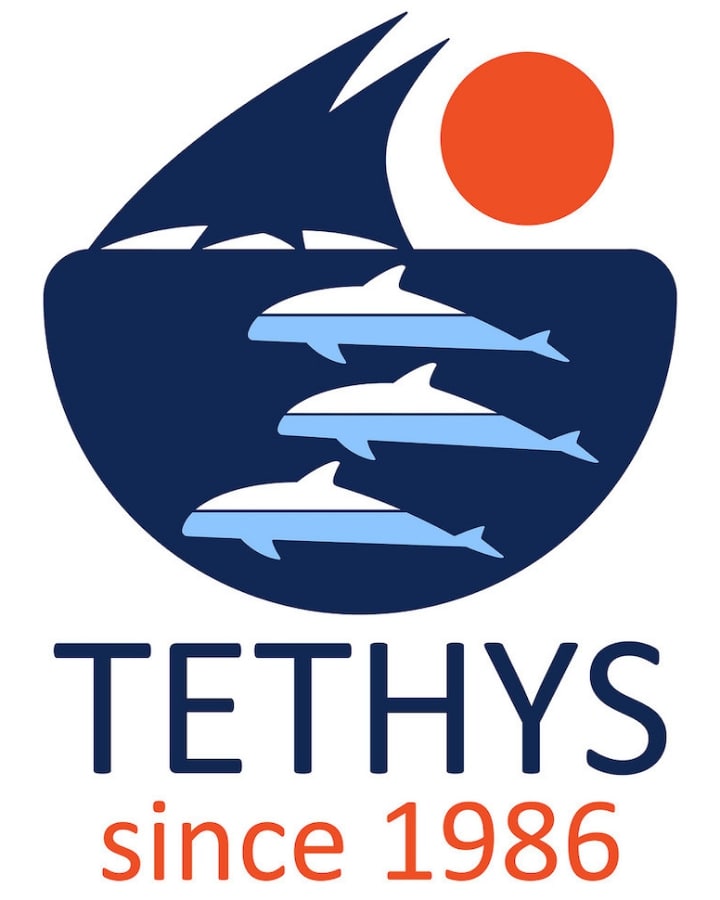 How the First High-Seas Marine Protected Area in the Mediterranean Was ...