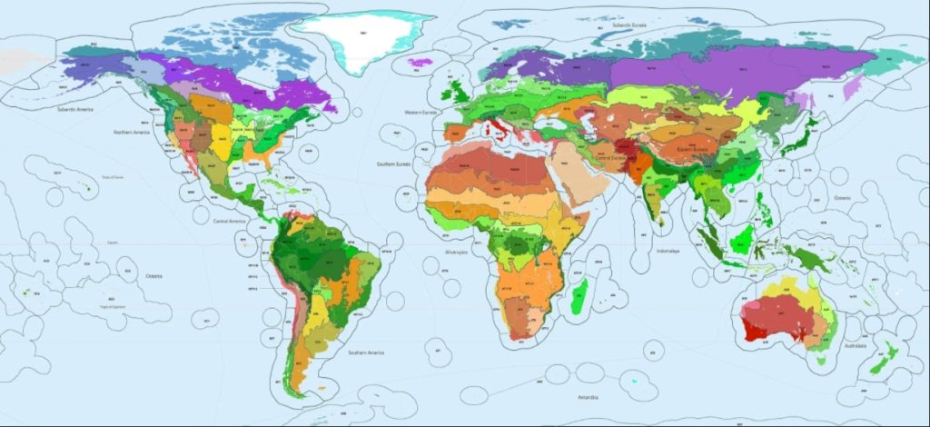 Bioregionalism: A Model for a Self-Sufficient and Democratic Economy ...