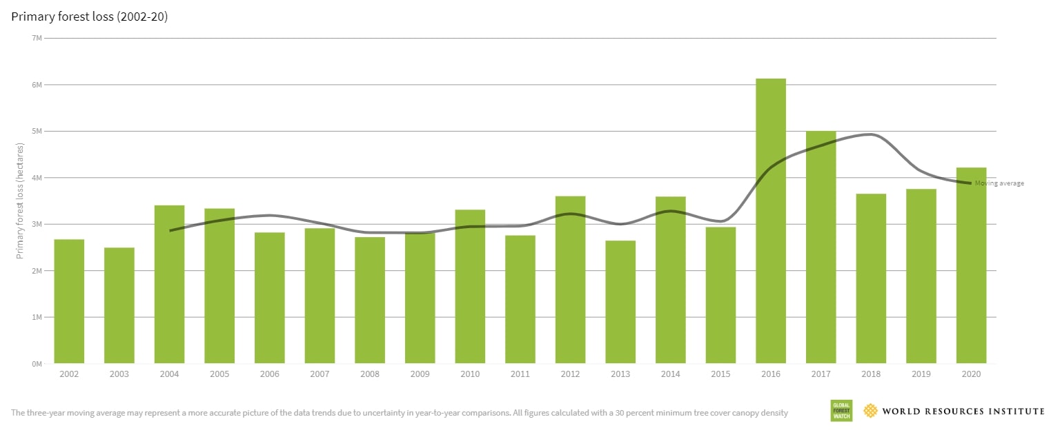 Tropical Forests Loss 12% Higher in 2020 | Earth.Org