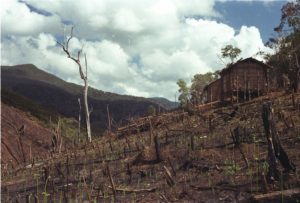 Ecofascism: How The Far-Right Weaponises Environmentalism | Earth.Org