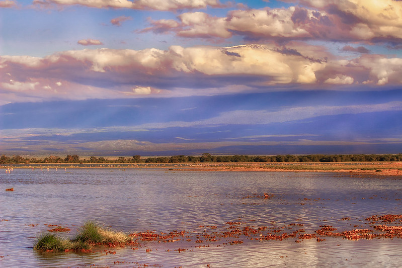 Kenya Environment Tribunal Protects Open Rangeland | Earth.Org