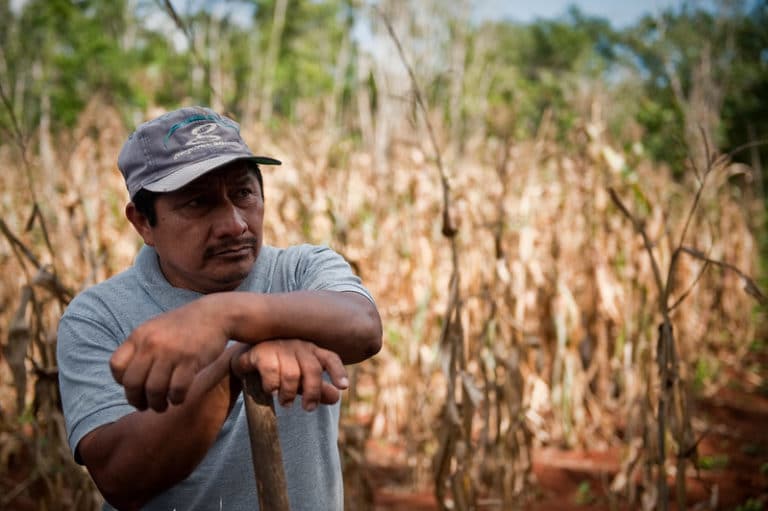 5 Reasons Why Conservation Efforts Need to Support Community Livelihoods