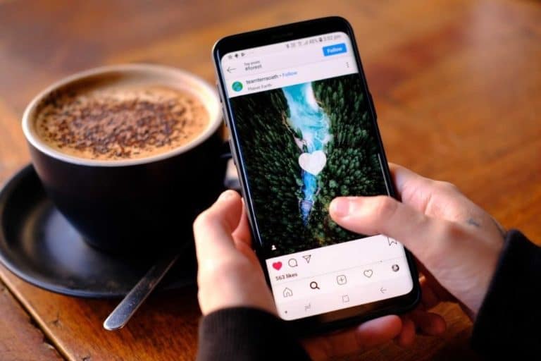 20 Environmental Instagram Accounts to Follow Now | Earth.Org