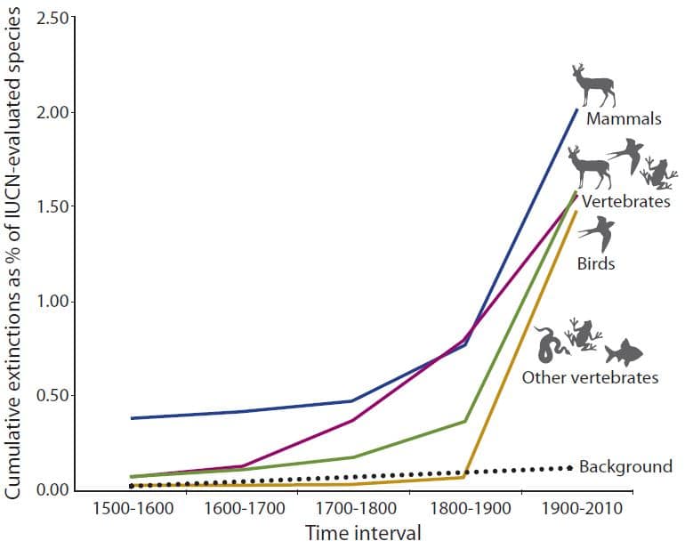 Is The 6th Mass Extinction Underway? | Earth.Org