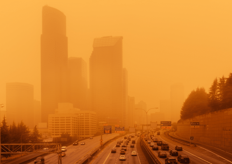 15 Most Polluted Cities in the US | Earth.Org