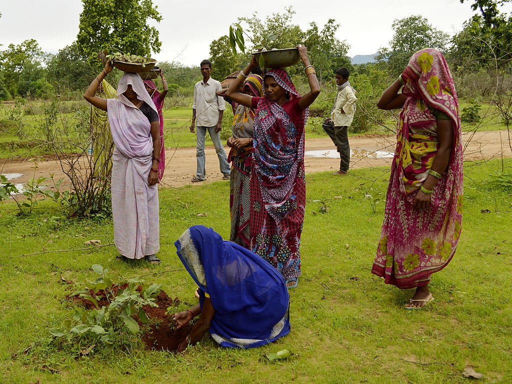Annual Tree Planting Drive in India Sees 250 Million Saplings Planted ...