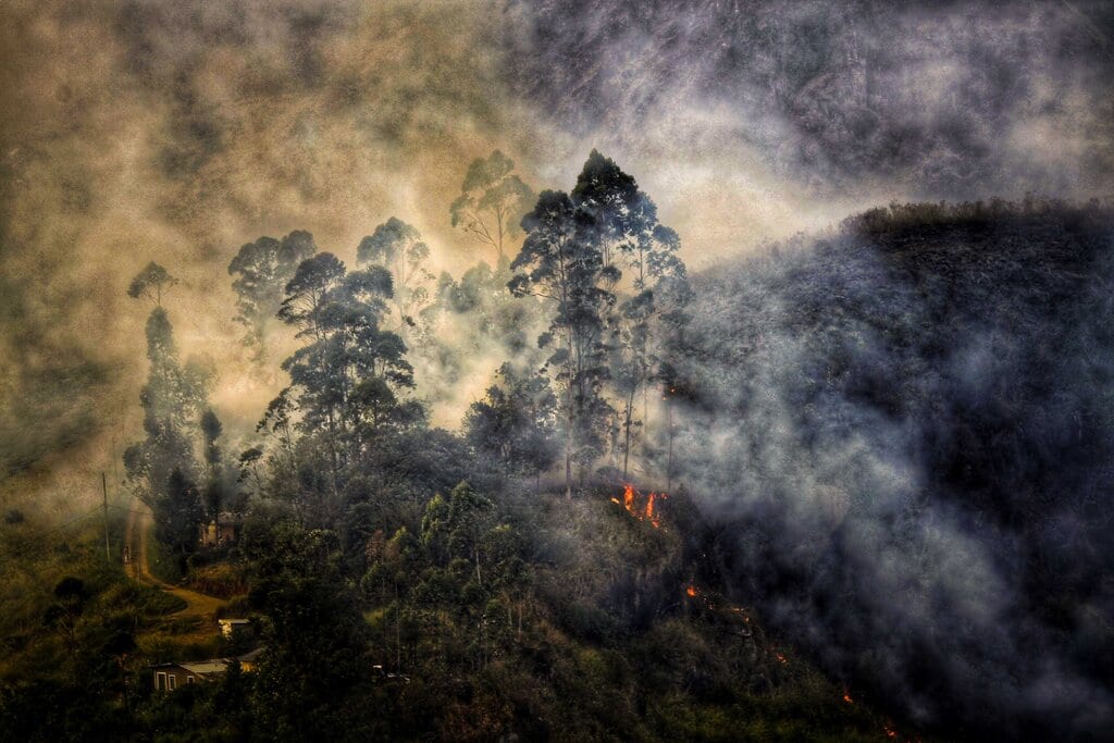 How Extreme Hot Weather Events Will Impact Earth in the Future