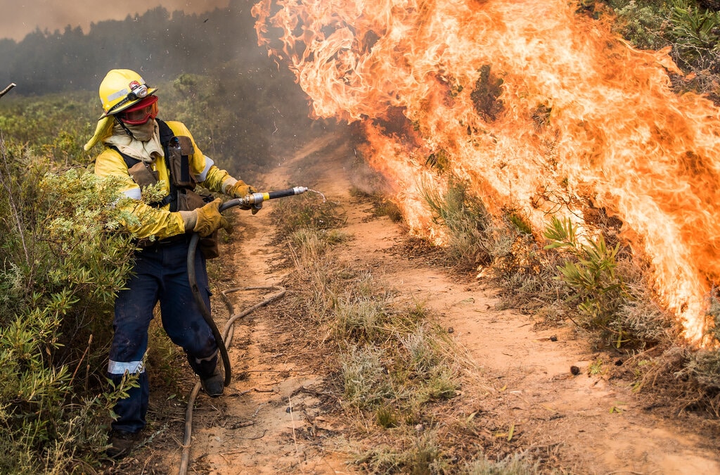 Turkey Is Battling Wildfires Fuelled by A Historic Heat Wave