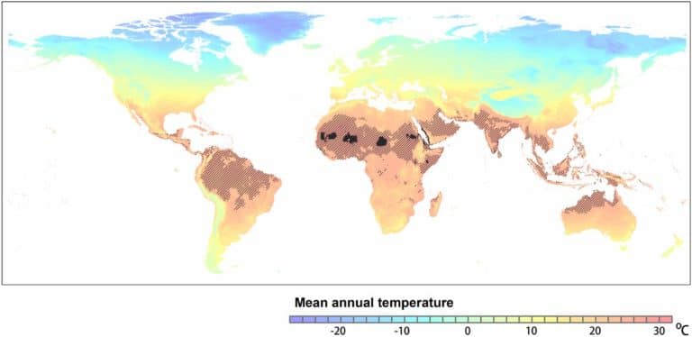11 Interesting Climate Change Facts | Earth.Org