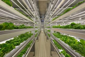 7 Green Tech Examples Helping Mitigate Climate Change | Earth.Org