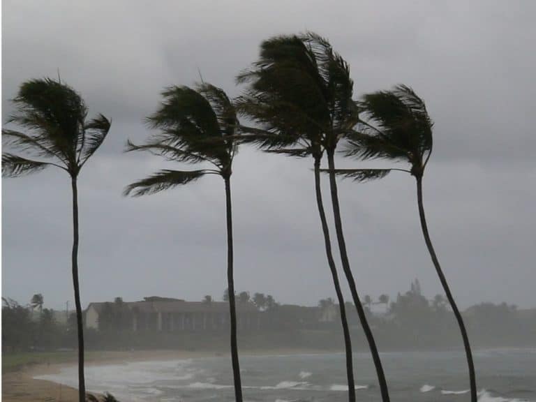 14 of the Worst Typhoons in Asia | Earth.Org