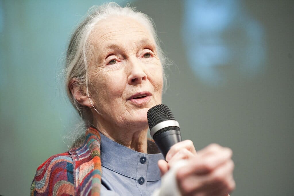 Jane Goodall Launches Effort in Support of Planting 1 Trillion Trees by ...