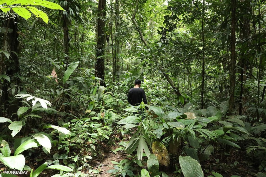 ‘Pristine Wilderness’ Without Human Presence is a Flawed Construct ...